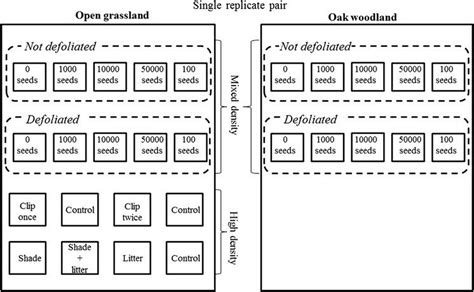 Example Of A Single Replicate Plot Layout Download Scientific Diagram