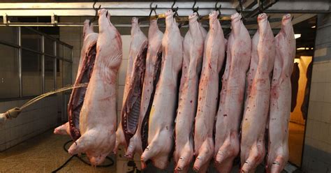 Pork Plant Pair Had Sex On Factory Floor Tribunal Is Told Mirror Online