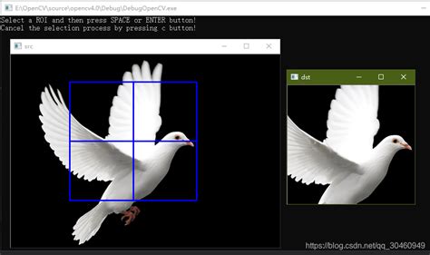 Opencv Roi选择与图像裁剪 Csdn博客