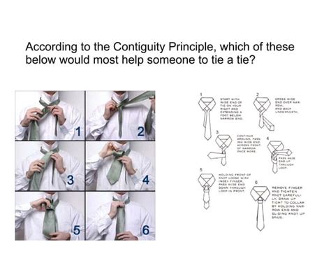 Contiguity Principle Pdf