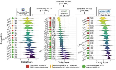 Exploiting Convergent Phenotypes To Derive A Pan Cancer Cisplatin Response Gene Expression