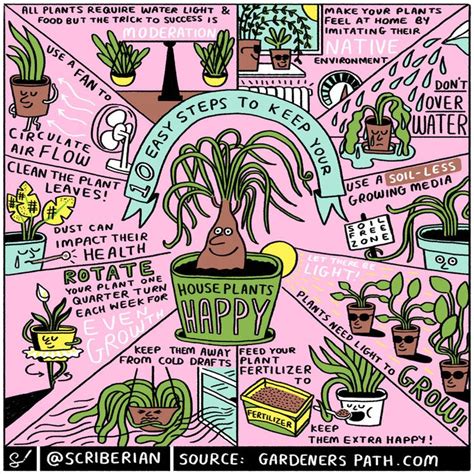 Sketchnotes Environment — Scriberia Sketch Notes Sketchnotes Plant