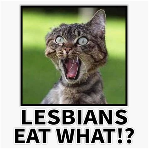 Lesbians Eat What Funny Cat Meme Sticker Bumper Sticker