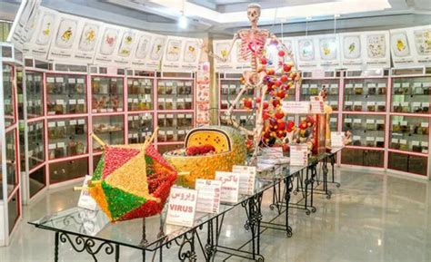 موزه علم و طبیعت اهواز، جاذبه‌‌ای علمی و تماشایی در شهر اهواز ️ مجله