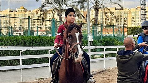 نظام تدريب الفروسيه في نادي اصحاب الجياد بالاسكندريه Youtube