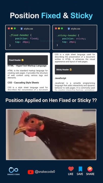 Css Position Sticky And Fixed Htmlcss Responsive Animation Learncode Youtube