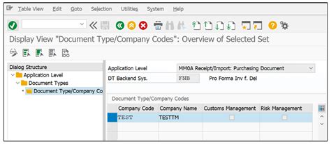 Plug In Settings For Gts In Sap S 4hana