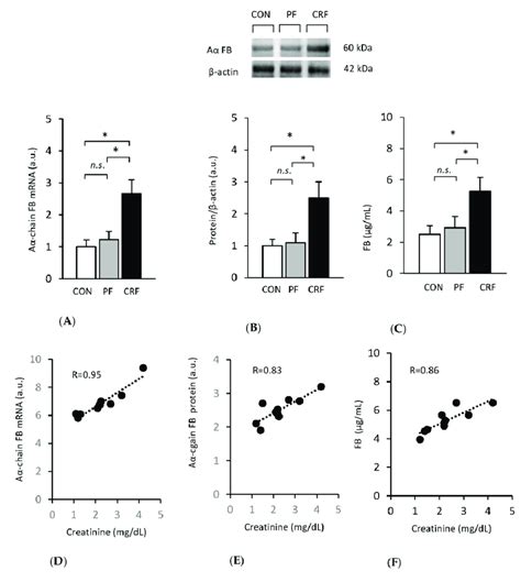 The Increase In Liver Fibrinogen Gene Expression And Its Association Download Scientific