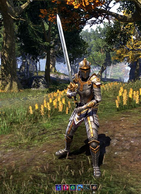 Daggerfall Covenant Knight Race And Class — Elder Scrolls Online