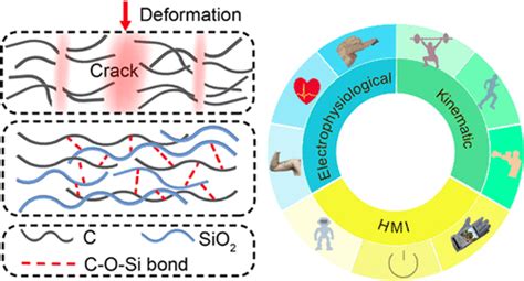 Conductive Cellulose Derived Carbon Nanofibrous Membranes With Superior