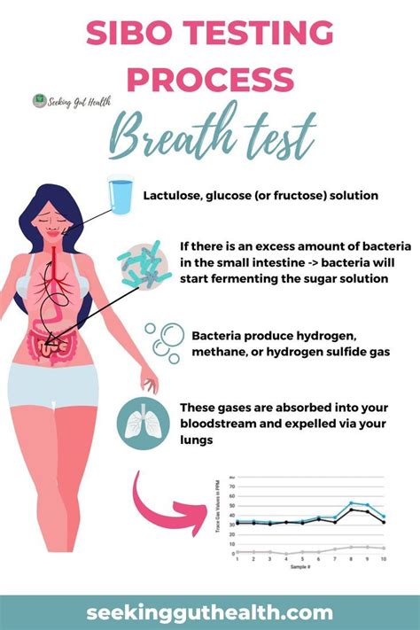 Consider Sibo Testing If You Suffer From Constant Bloating Artofit