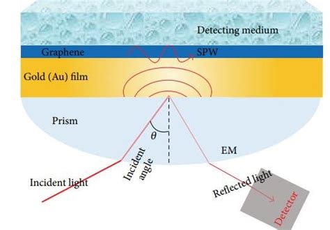 1 Schematic Of Surface Plasmon Resonance Spr Biosensor Prism Au 50 Download Scientific