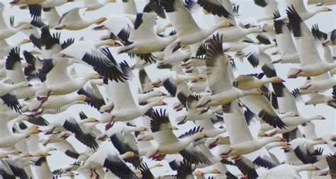 Migrating A Vuejs App To Vuex If Youre New To Vuex This Will Be