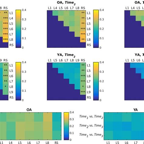 Training Effects On Brain‐wide Modularity For Older And Younger Adults Download Scientific