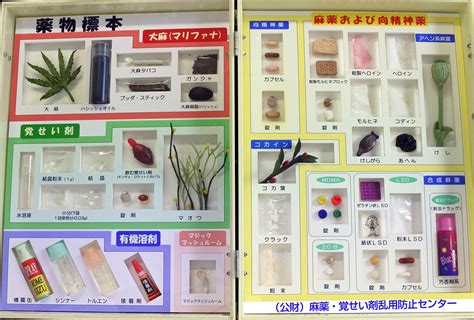 公益財団法人麻薬覚せい剤乱用防止センター TOPページ