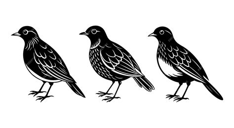 Premium Vector Vintage Robin Bird Silhouette