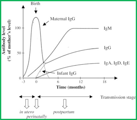 Explain The Rationale Of Using Different Types Of Vaccine Including Live Vaccines Conjugate