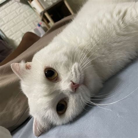 Chi Tran Chitranlee Threads Say More