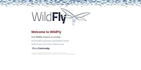 how to install wildfly with nginx as a reverse proxy on debian 10