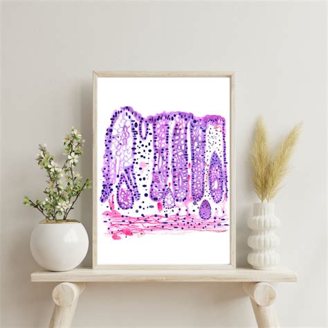 Colon Histology Art Print Medpapers