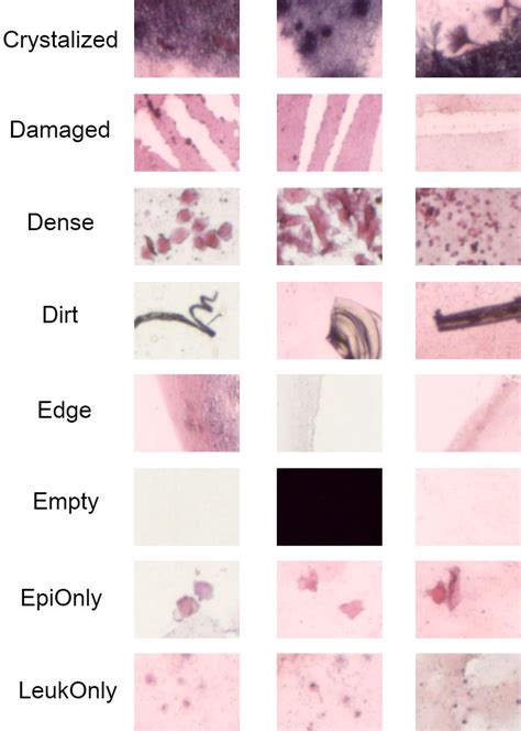 The Selected Samples Of The Proposed Dataset Best Viewed In Color