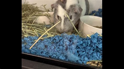 Banned Videos XVIDEOS COM Banned Videos XVIDEOS COM