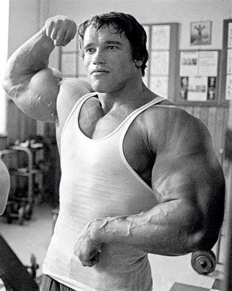 Arnold Schwarzenegger Biceps Size