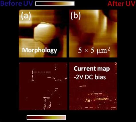 Afm Morphology Top And C Afm Current Map Bottom Measured On Sample