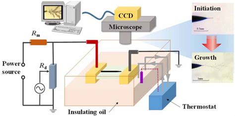 Schematic Diagram Of Electrical Tree Observation System Download Scientific Diagram