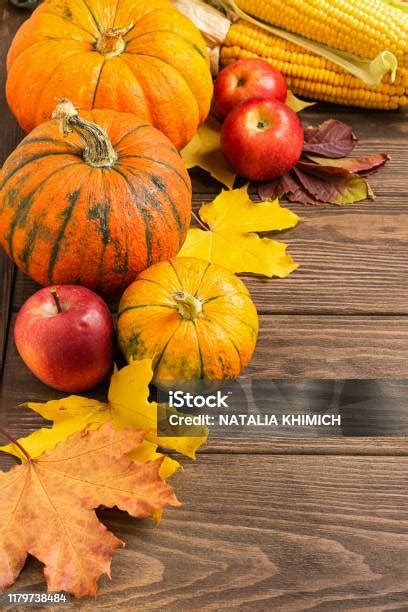 가을 정물 무늬 잘 익은 호박 사과 옥수수 타락 노란 잎 나무 배경 추수 감사절 가을 개념입니다 0명에 대한 스톡 사진 및 기타 이미지 Istock