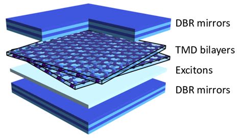 Illustration Of A Coupled Polariton Moiré System That Realizes An Download Scientific Diagram