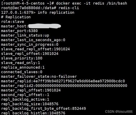 Docker 搭建 Redis 主从，哨兵docker 部署mysql主主 和redis 哨兵 Csdn博客