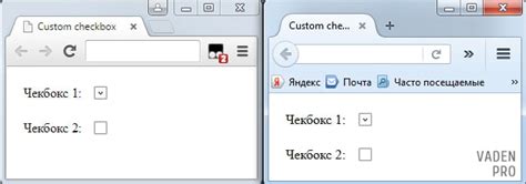Кастомное оформление checkbox и radio кнопок средствами css vaden pro
