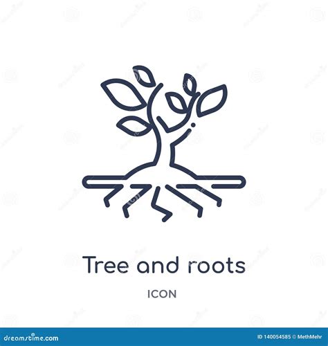Linear Tree And Roots Icon From Ecology Outline Collection Thin Line Tree And Roots Vector