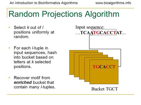 introduction to bioinformatics algorithms randomized algorithms and