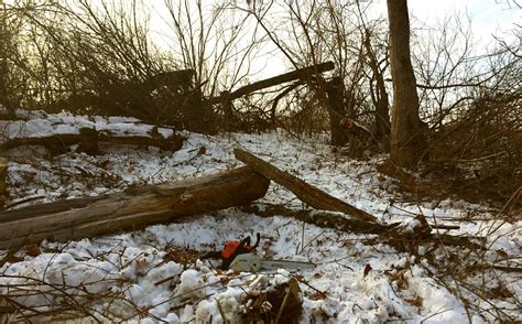 Create A Deer Bed In These Top Locations Whitetail Habitat Solutions