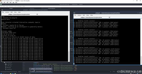 sdn高性能网络之——p4快速入门并实现ecmp load balancing p4 网络 csdn博客