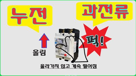 전기실무 누전차단기 및 배선용차단기가 차단될 때 나타나는 증상 Youtube