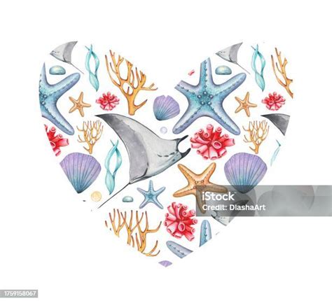 조개 불가사리 쥐가오리와 손으로 그린 테두리 수채화 그림 갑각류에 대한 스톡 벡터 아트 및 기타 이미지 갑각류 공휴일 껍데기 Istock