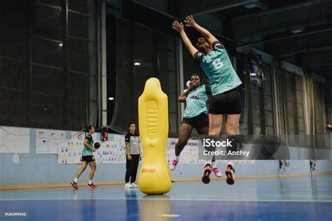 점프 샷 기술을 연습하는 여성 핸드볼 선수 스포츠팀에 대한 스톡 사진 및 기타 이미지 스포츠팀 토론 팀워크 Istock