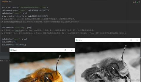 Opencv笔记002————gray Image Csdn博客