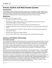 24 P A G E The Raz Procedure CPT 51845 Corrects Urethral And Bladder Neck Course Hero