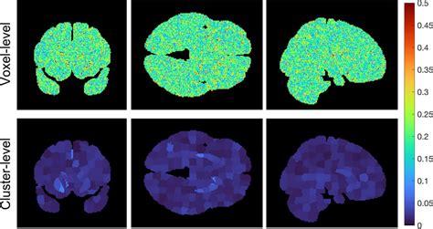 The Variability Cv Ec50 In Voxel Level Top Row Is Reduced By