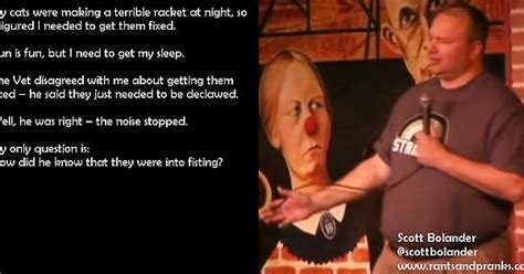 cat scratch fever imgur