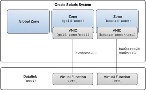 Use Case Offloading Hardware Slas To A Nic Managing Network Virtualization And Network