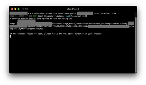 access homelab resources using cloudflare zero trust and squid proxy