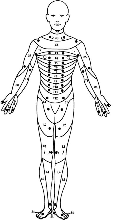 Neurological Examination Medicine Checklists