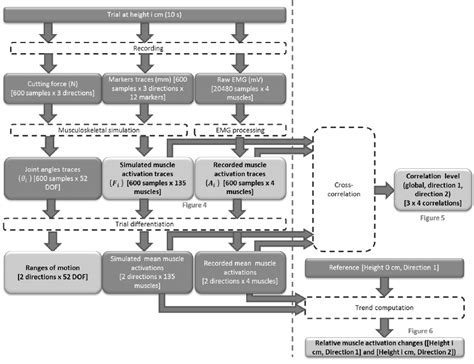 Global Processing Pipeline For Data Processing The Major Outputs Of
