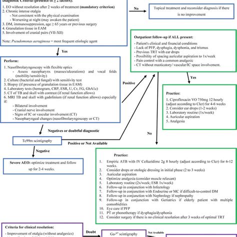 proposed new noe treatment algorithm download scientific diagram