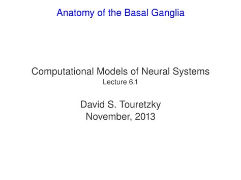 Anatomy Of The Basal Ganglia Computational Models Of Neural Docslib